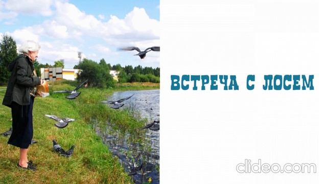 Встреча с лосем