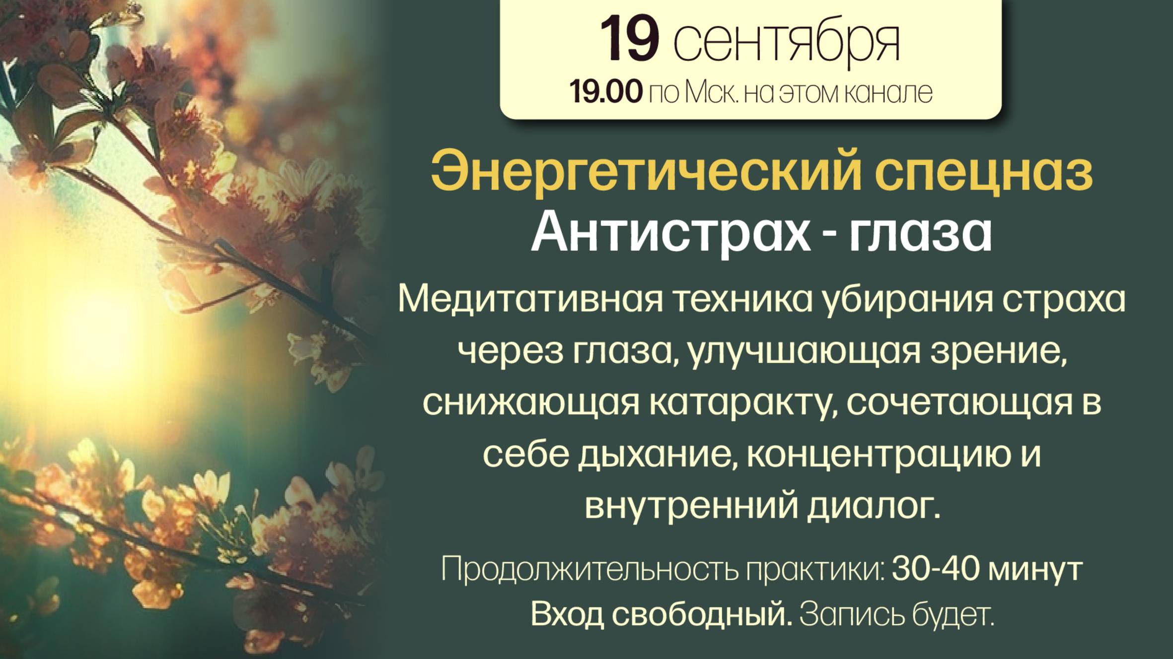 Энергетический спецназ - глаза