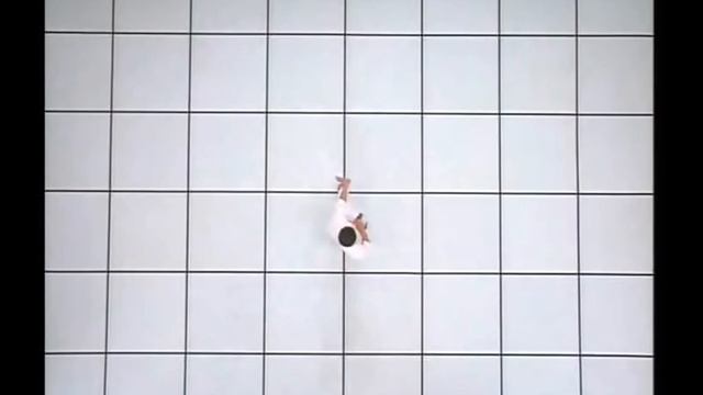 Ситей ката Сито-рю Бассайдай Вид сверху