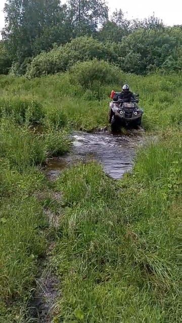 Тут на картах мост в Шабуровском заказнике) #шортс #baltmotors #квадроцикл