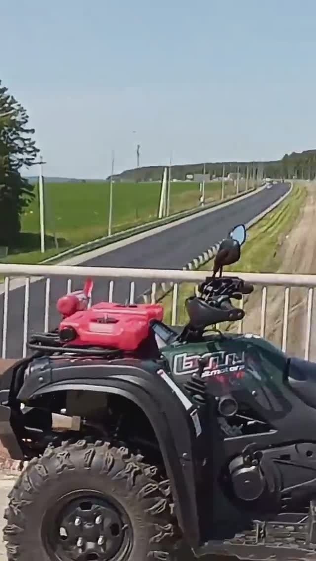 Нашли мост через трассу М5 для перегонки...скота из деревни в деревню) #квадроцикл #м5 #шортс