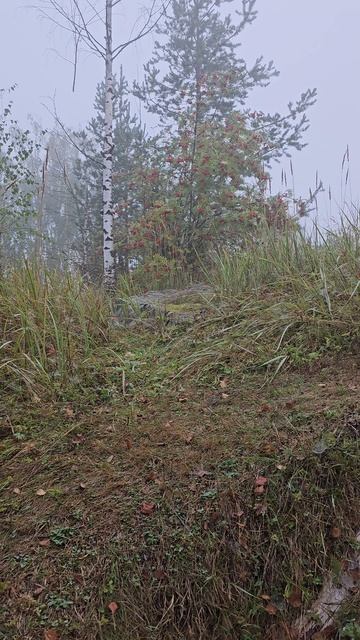 Карелия. Медвежьегорск. Гора Лысуха. Karelia. Medvezhyegorsk. Mount Lysukha