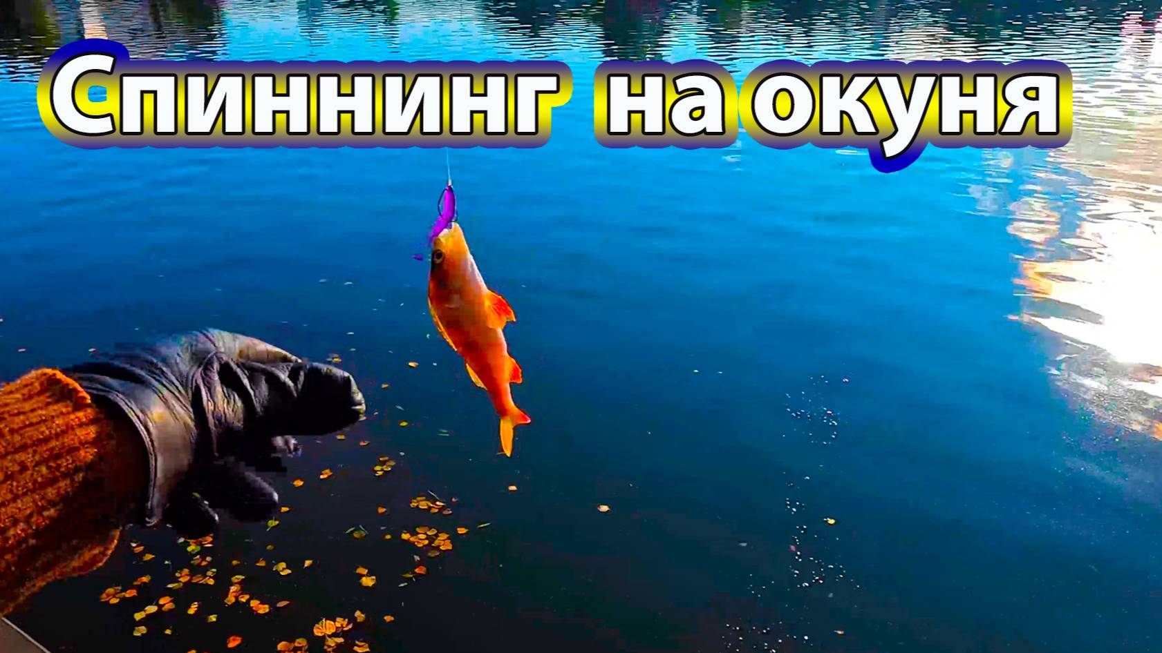 Рыбалка на спиннинг на окуня на городском пруду, новый монтаж