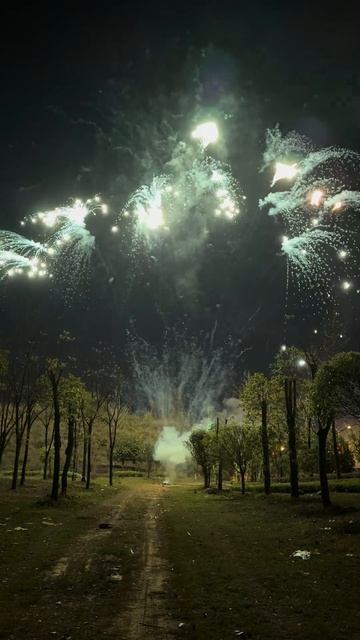 Лунная походка