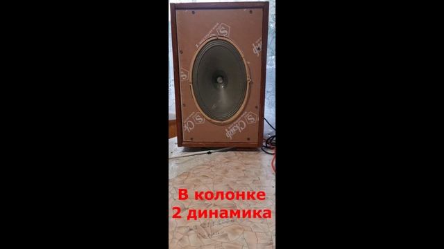 Тест сдвоенных динамиков 5ГД1РРЗ