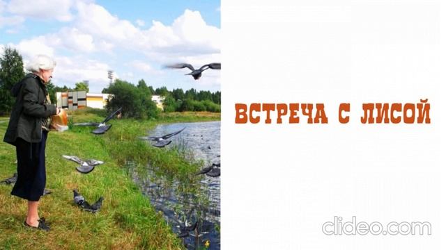 Встреча с лисой