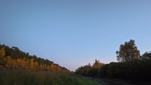 Охота на утку