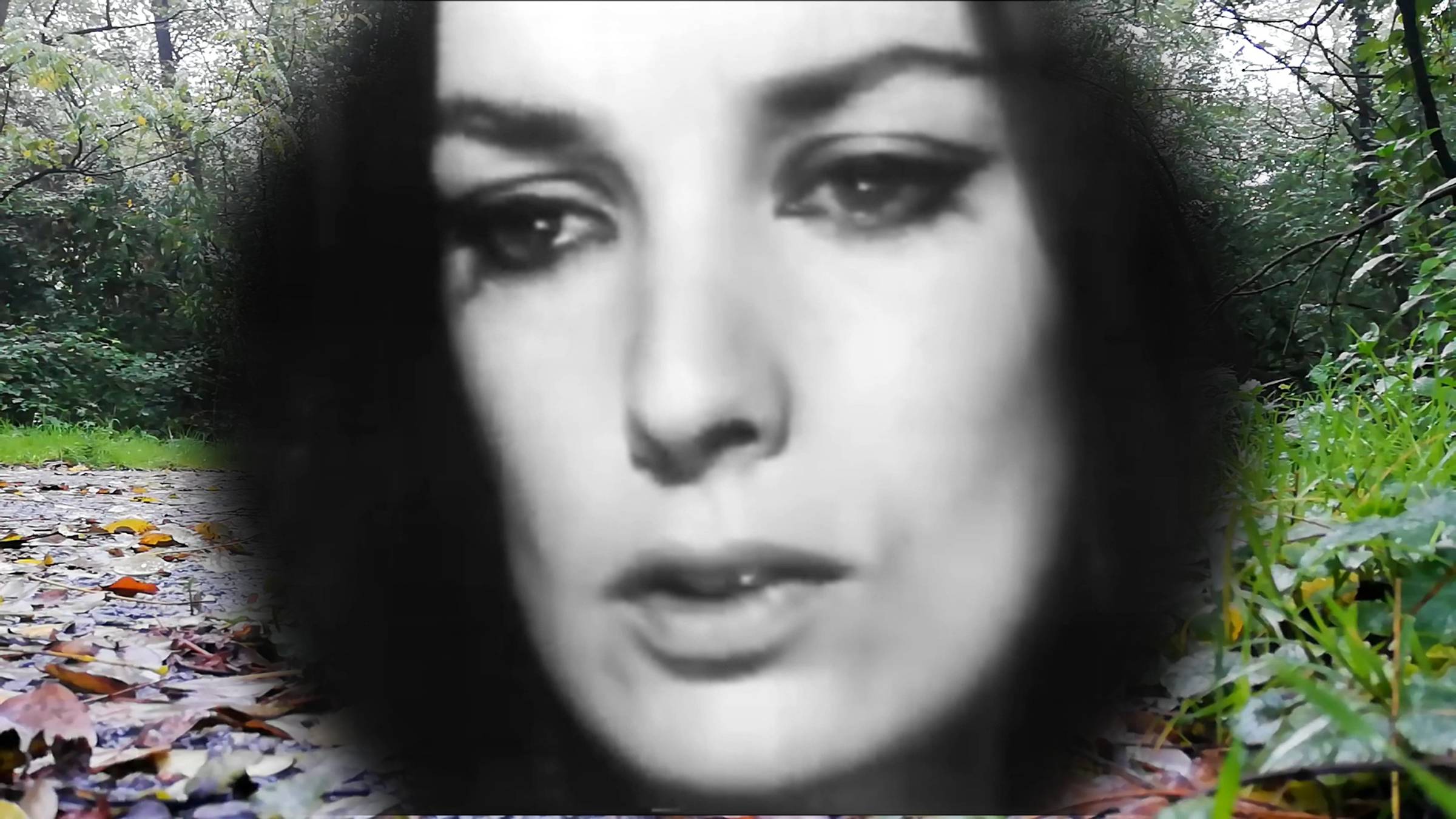 "Прогноз погоды" / Мари Лафоре - «Манчестер и Ливерпуль» (1966)