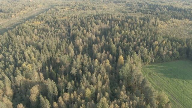 Квадрокоптер заснял нереальные пейзажи! Нетронутая красота дикой природы.