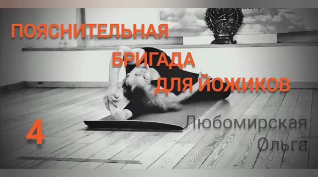 Пояснительная бригада для йожиков. Выпуск 4      Чем отличаются принципы Йамы и Нийамы.