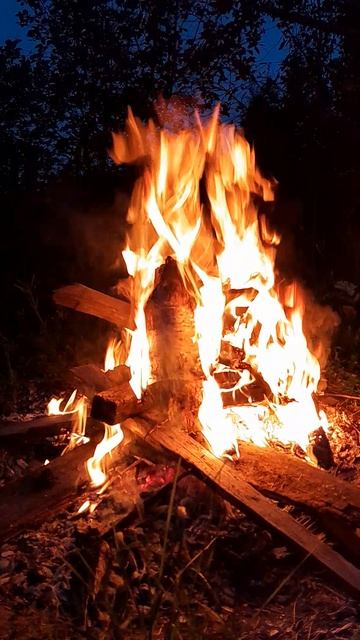 Сидим на даче у костра