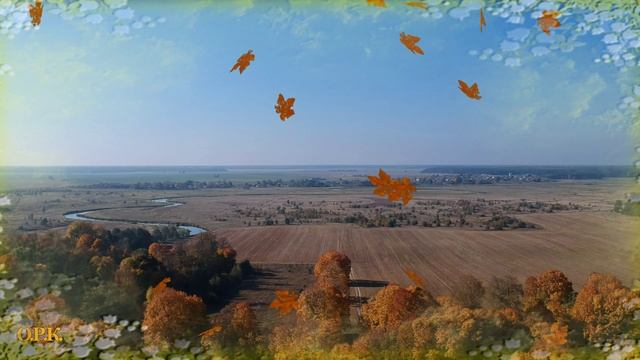 СИНИЕ ТУМАНЫ