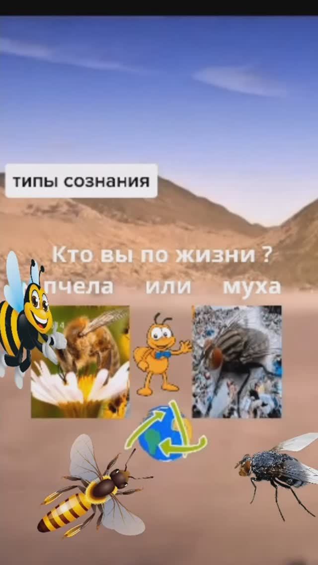 типы сознания