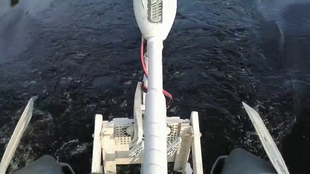 УРДОМСКИЙ  РАЗВОРОТ. Лодка ПВХа. Электрический  мотор