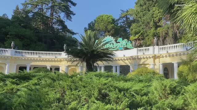 Дендрарий Сочи. Большая прогулка. Покормили павлинов, рыбок