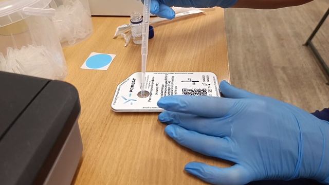 ПЦР анализ за 2 часа в клинике ВЕТЭМБУЛАНС