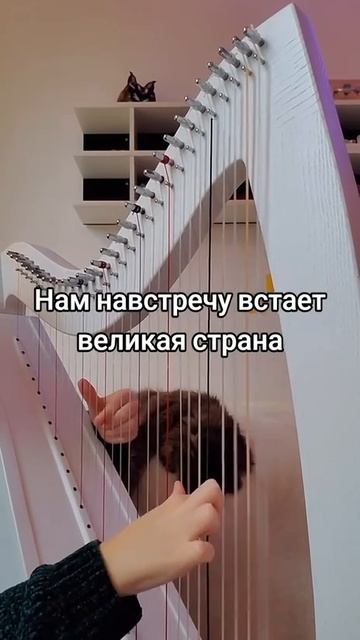Музыка