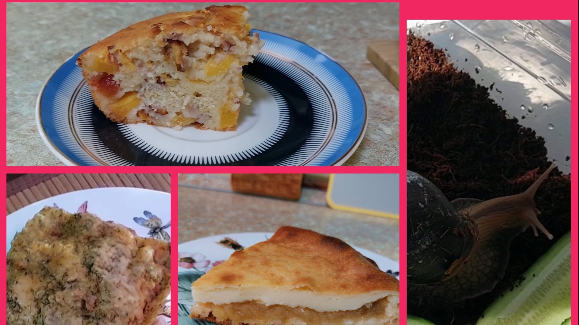 Вкусная выпечка🥧Простые рецепты для обеда или ужина🍽Подарок от одноклассников🎁Заболели😷🤧