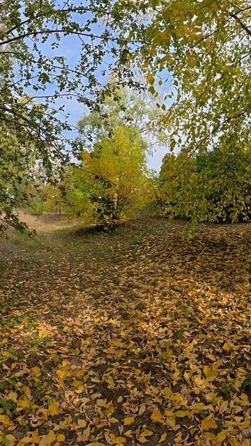 Осень, осень, осень