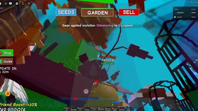 выращиваем большой мепл ресин ( и принцес тёрн )