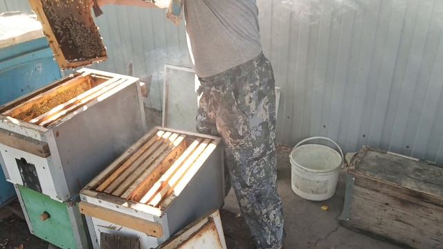 Собрал гнездо для зимовки.