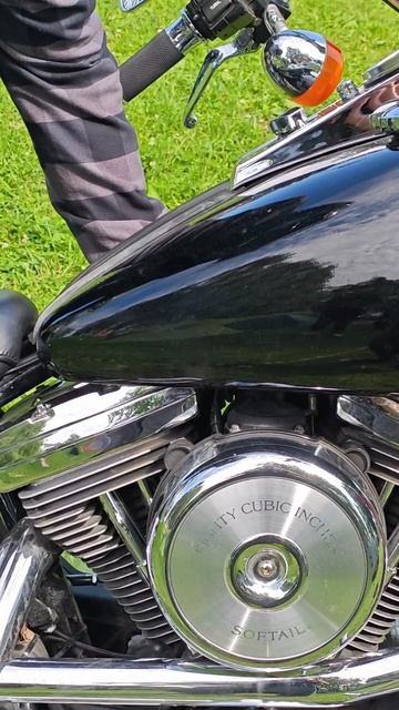 Когда не хватает воздуха Harley-Davidson FXSTC !