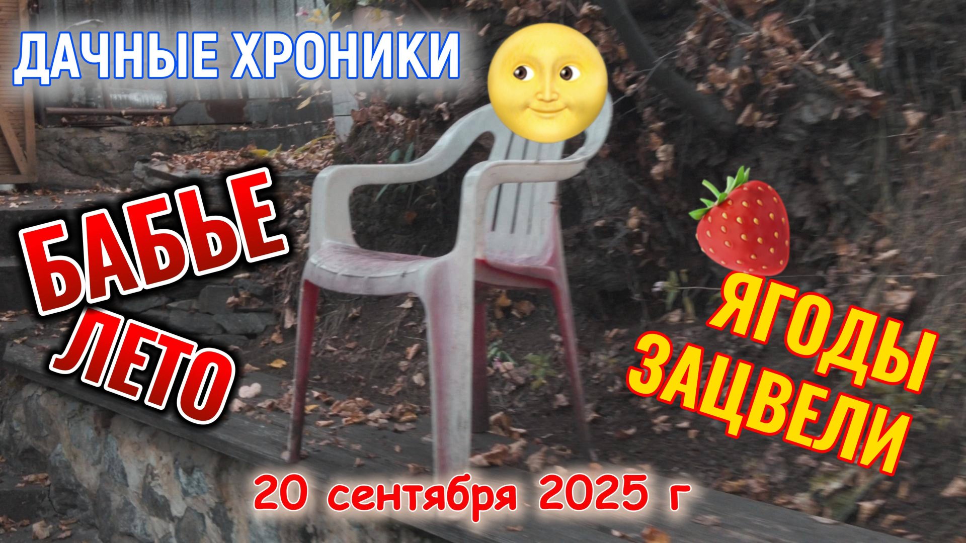 Бабье лето и ягоды зацвели 20 сентября 2025 г