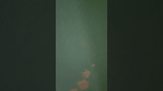 ЛИФТЫ ВЕРНУЛИСЬ?(серия 40)+ информация по лифту щлз 2007 | Лифты