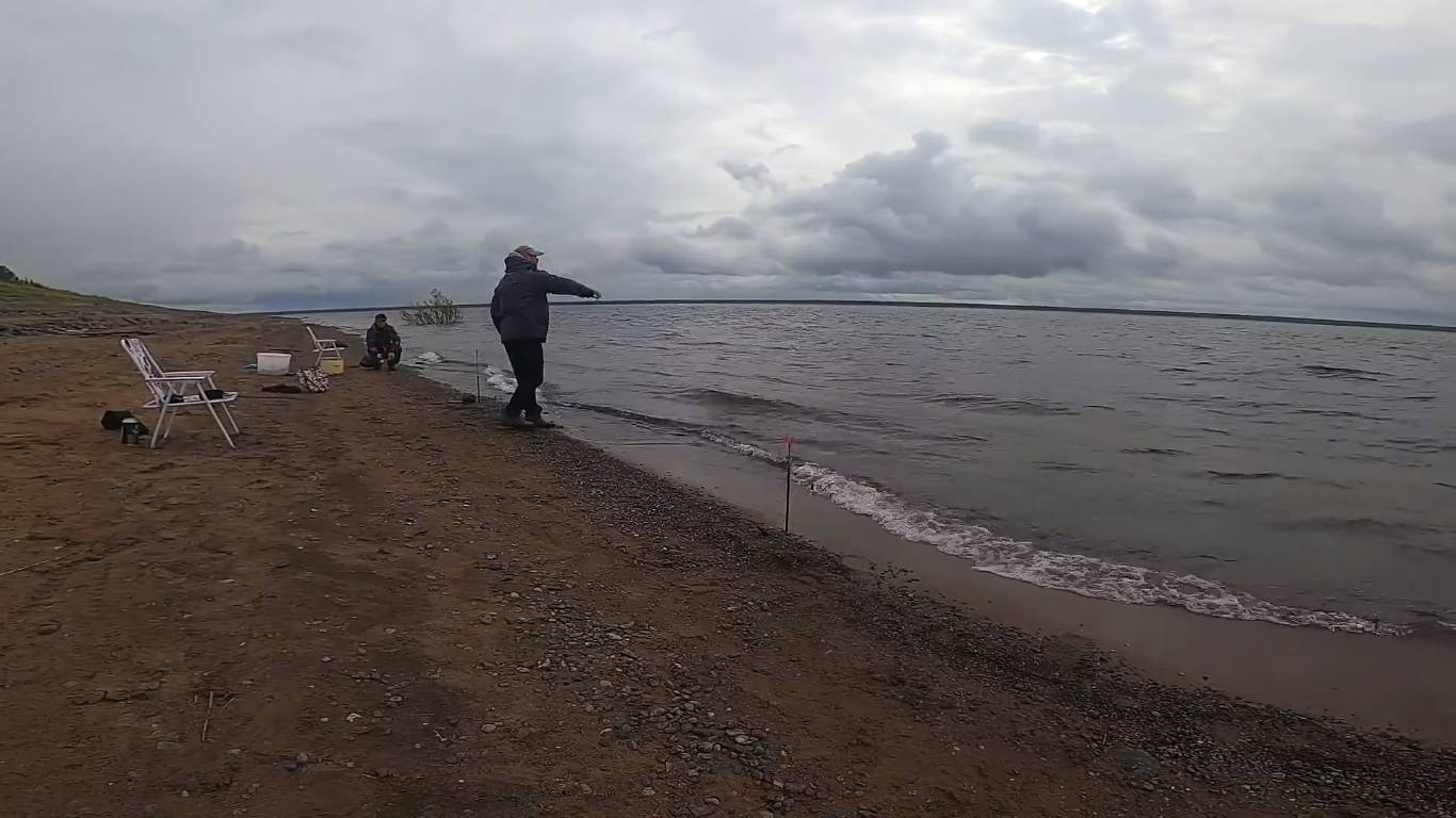 Рыбалка на закидушки. Поклёвка за поклёвкой.