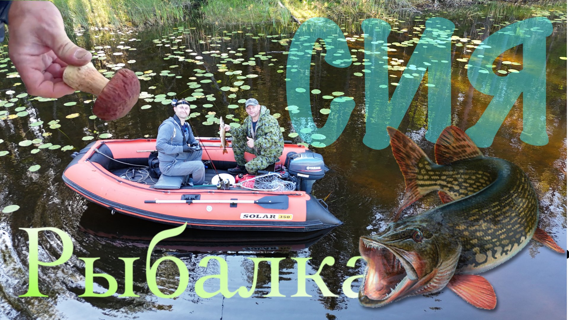 Архангельск. Рыбалка на Сийских озерах!