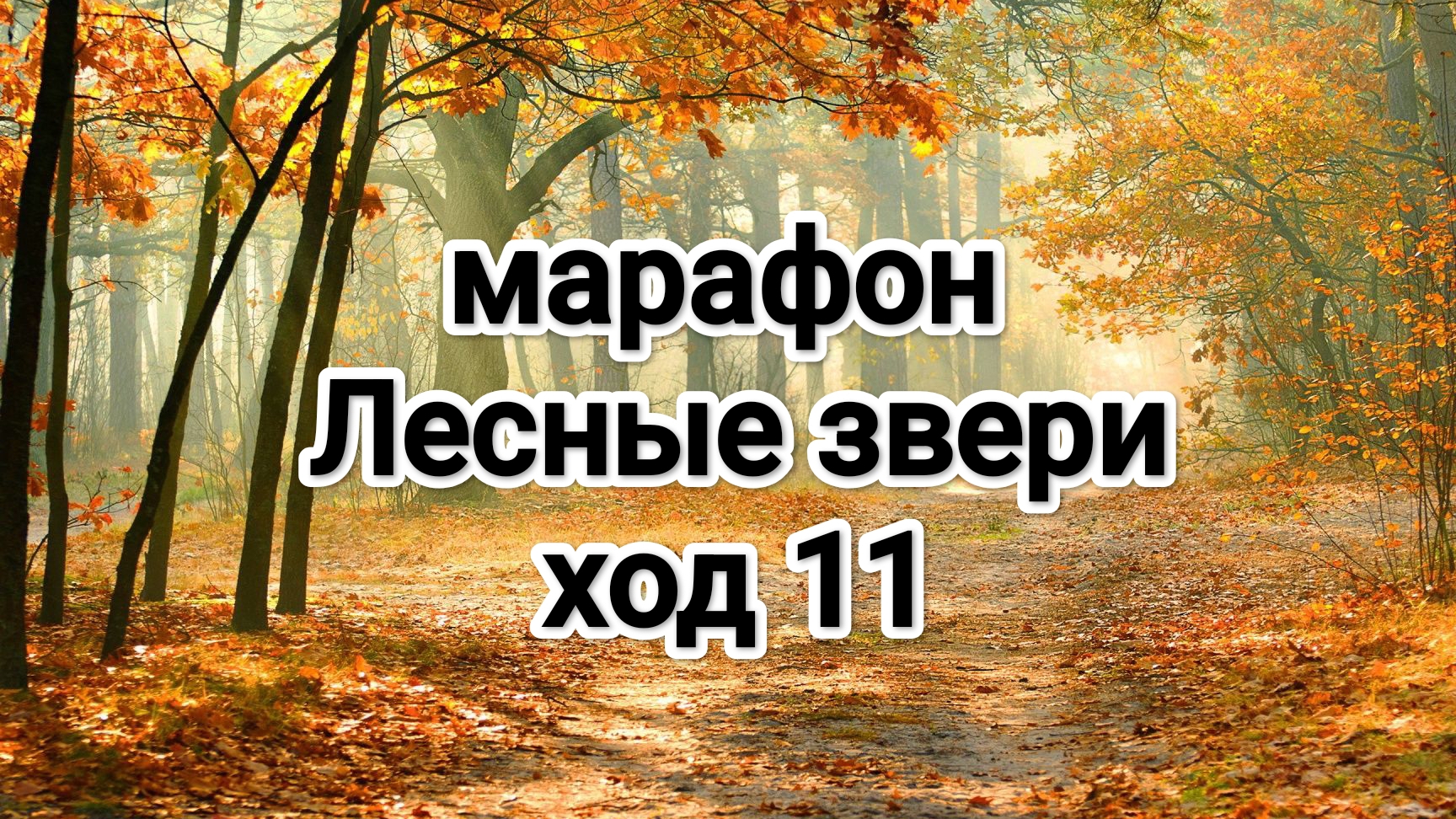 Марафон Лесные звери-ход 11