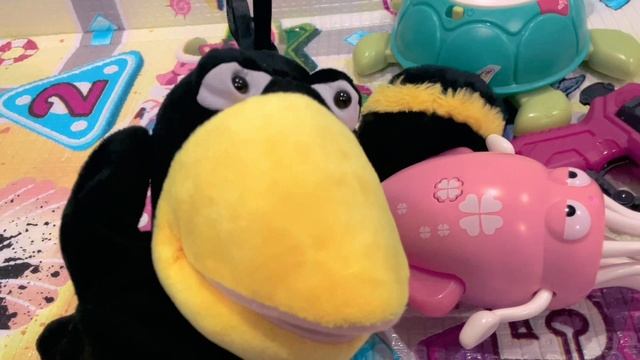 Считаем до 4 с вороной Асей💥