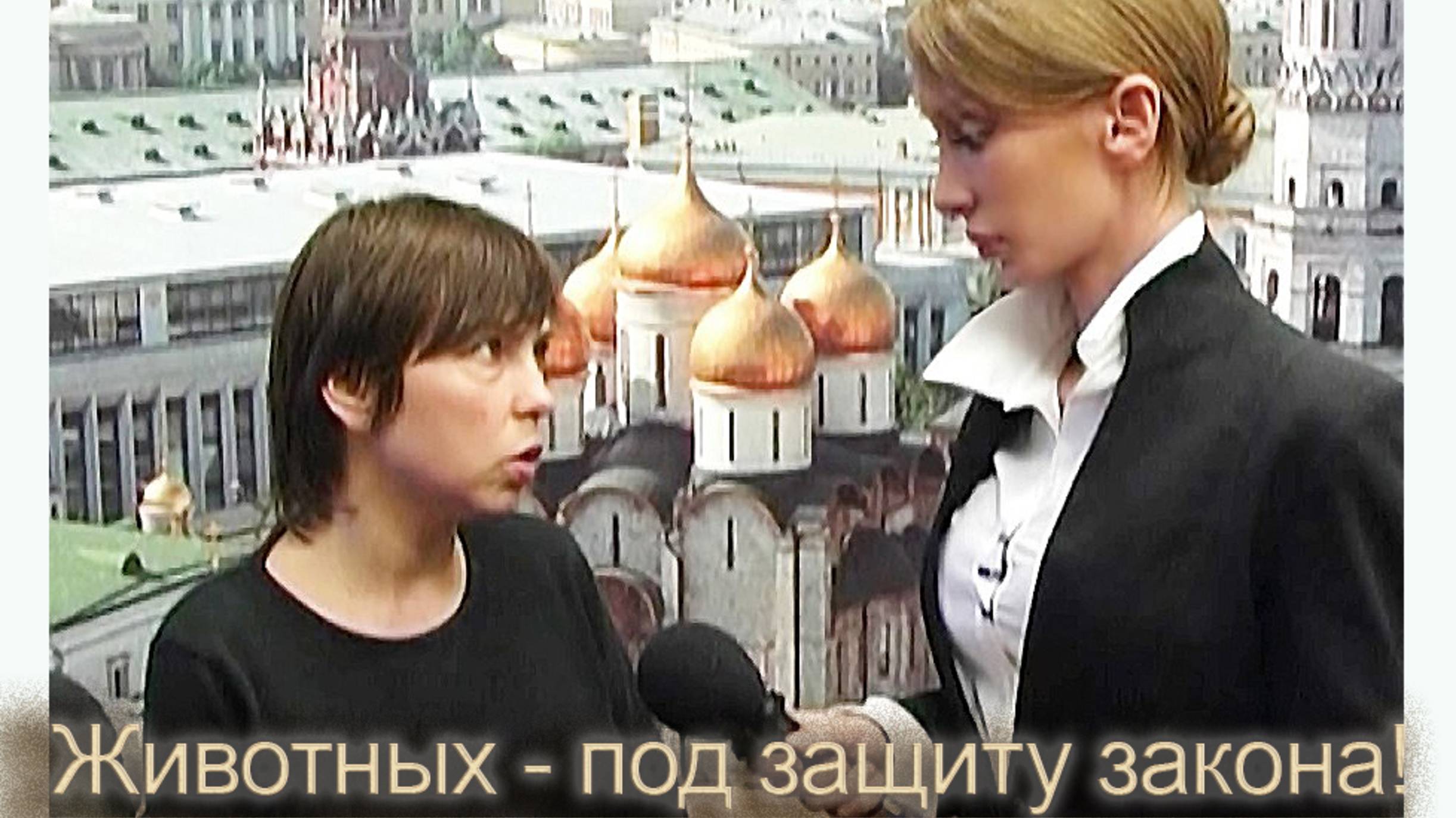 Документальный фильм: "Животных - под защиту закона!"