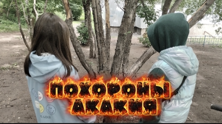 ПОХОРОНЫ ГОЛУБЯ АКАКИЯ | friendsRD