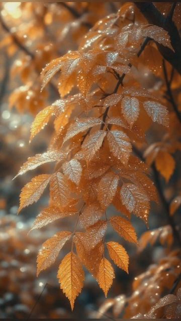 осенняя природа