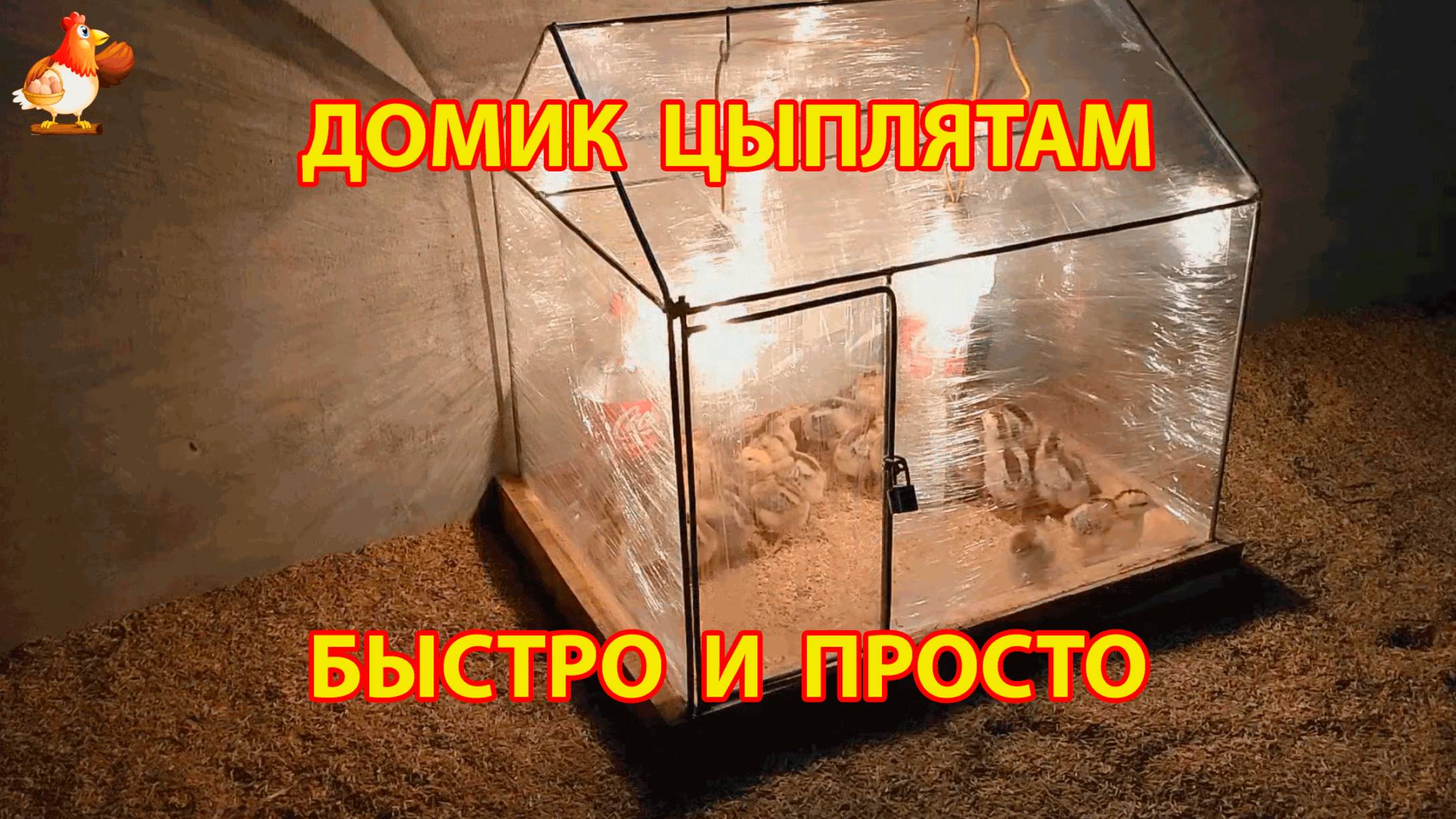 Домик для обогрева цыплят своими руками быстро и просто