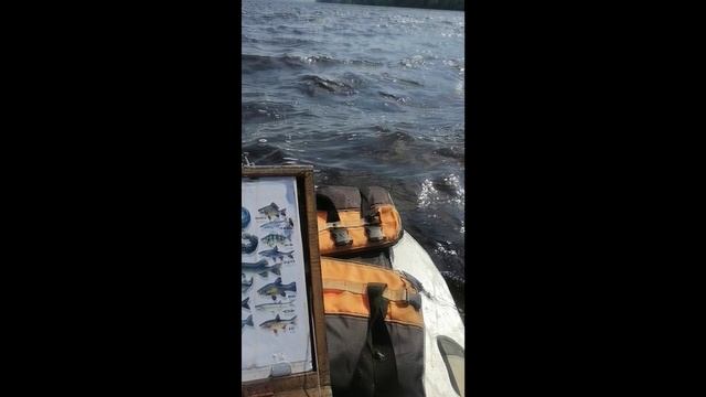 ЛОДОЧНЫЙ  МОТОР ПУЛЯ-5    ДЛЯ  ТРОЛЛИНГА.