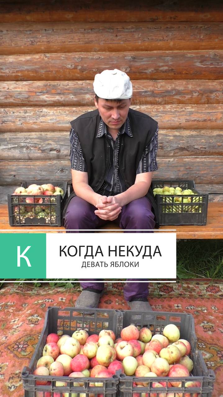 Что делать с яблоками