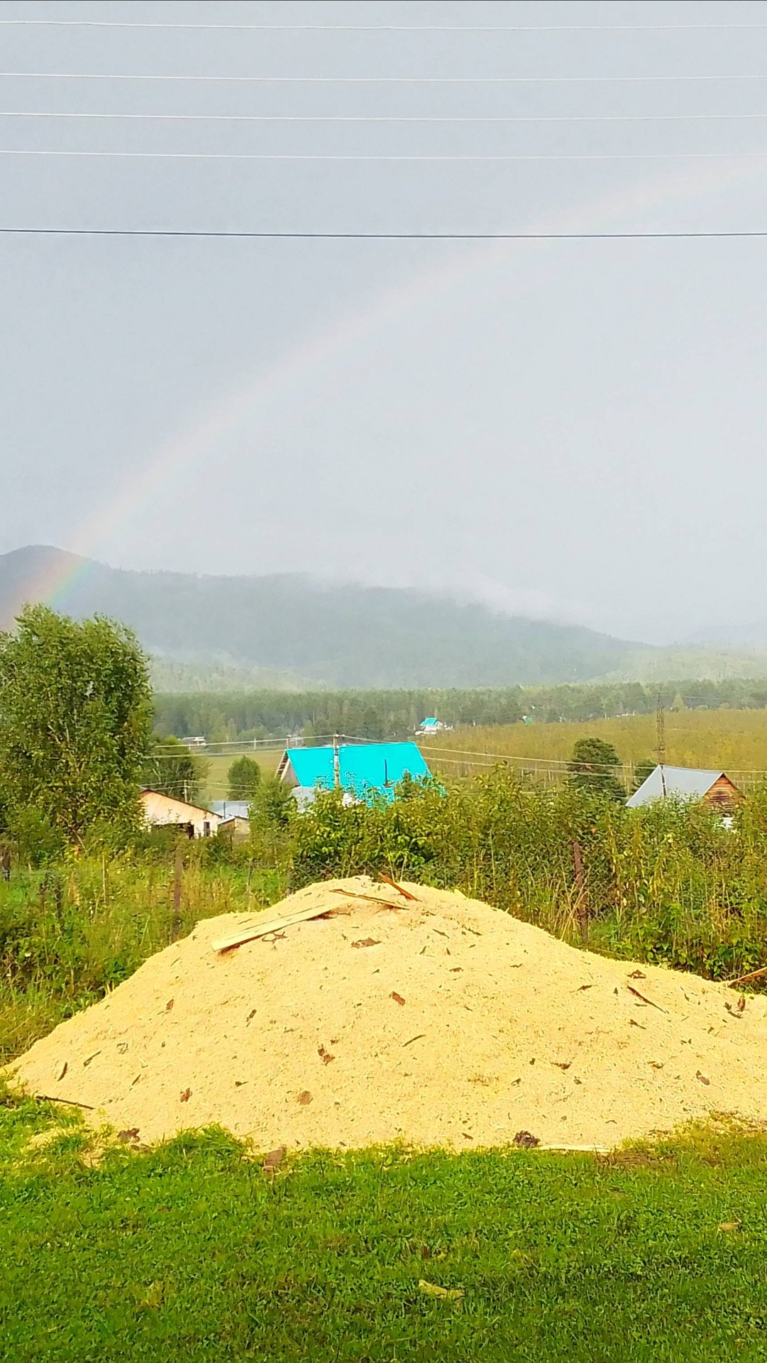 Грибы сапрофиты полезны для сада.
