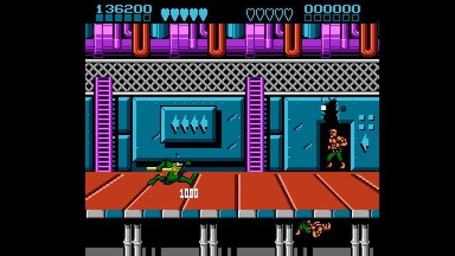 Battletoads & Double Dragon NES