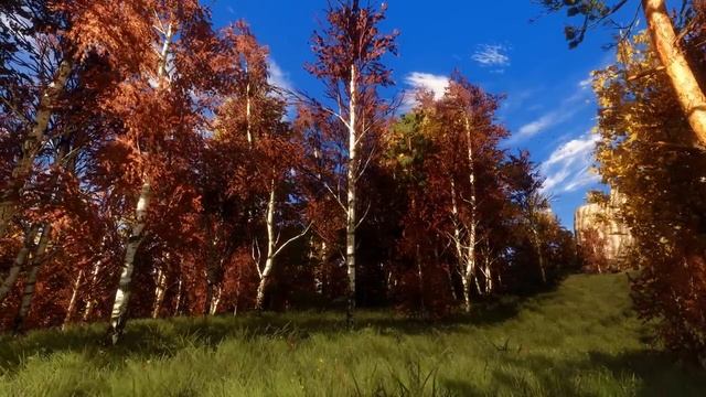 The Witcher 3 Autumn Journey ｜ Calming Music & Ambience #relax #study #meditation