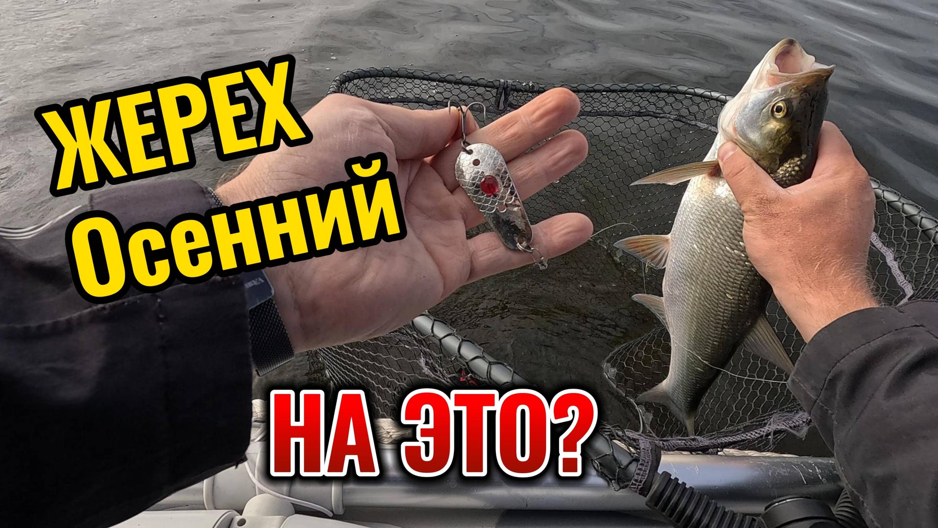 ЛОВЛЯ ЖЕРЕХА ОСЕНЬЮ! Тестирую тейлспиннер, кастмастер и блесну