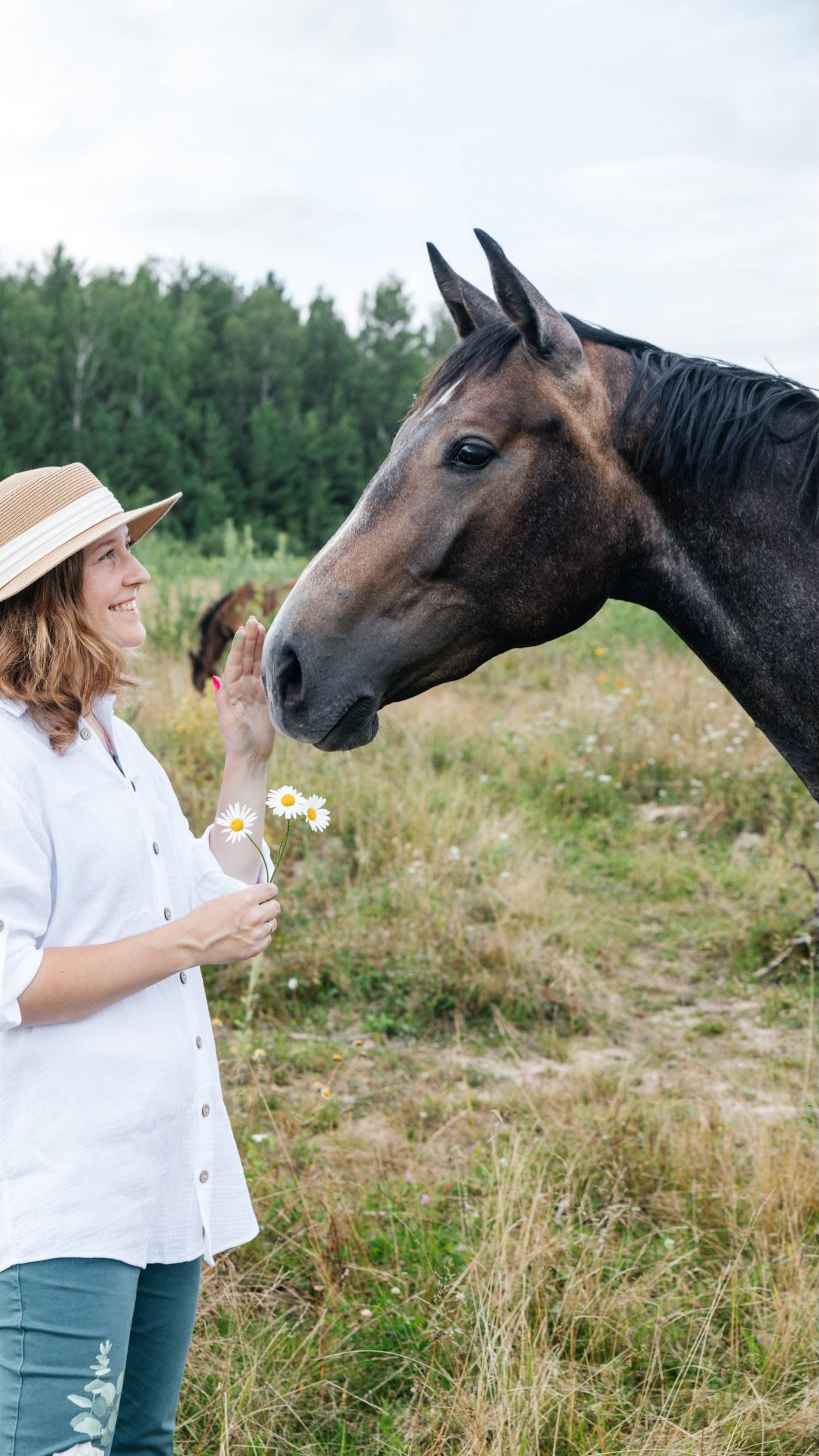 Аренда лошади 🐎