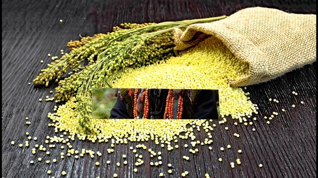 Лечение почек и мочевого пузыря пшеном