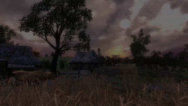 Witcher 1 -  All Location - Music & Ambience