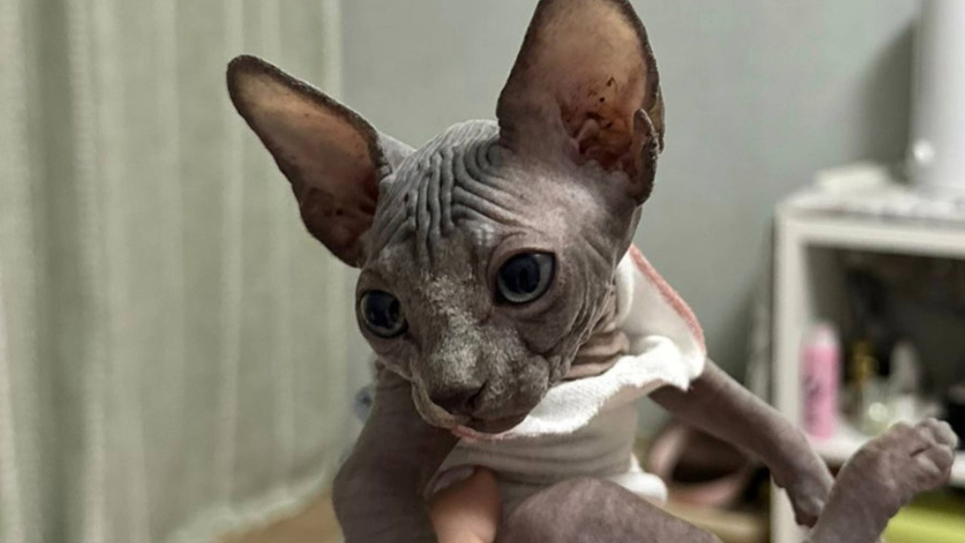 ТЫ и Я. Мы с тобой ДРУЗЬЯ! 😉