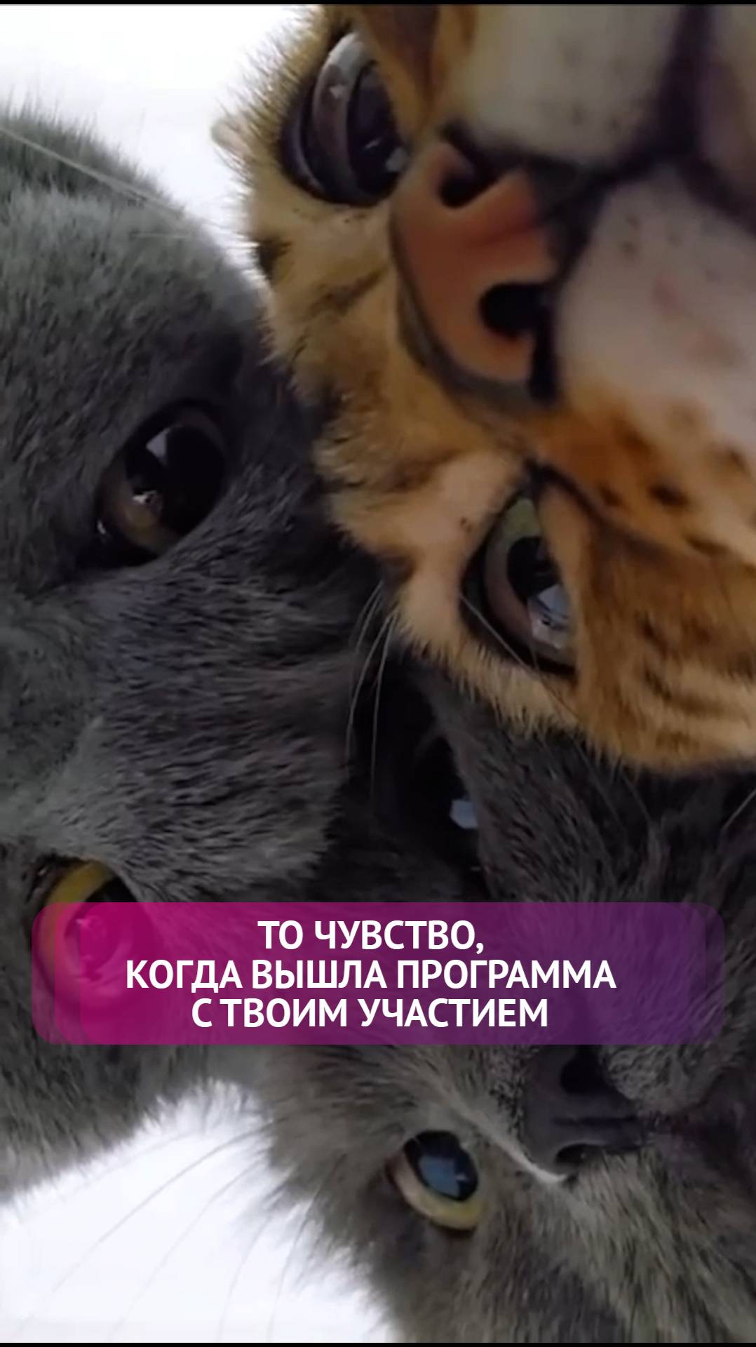 И не говори, что ты не такой