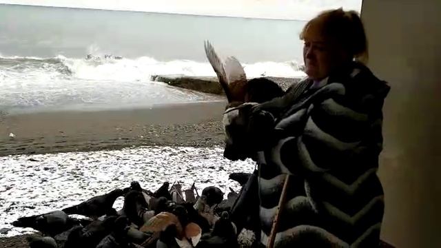 Адлер 2020 год