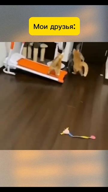 идем на диспансеризацию