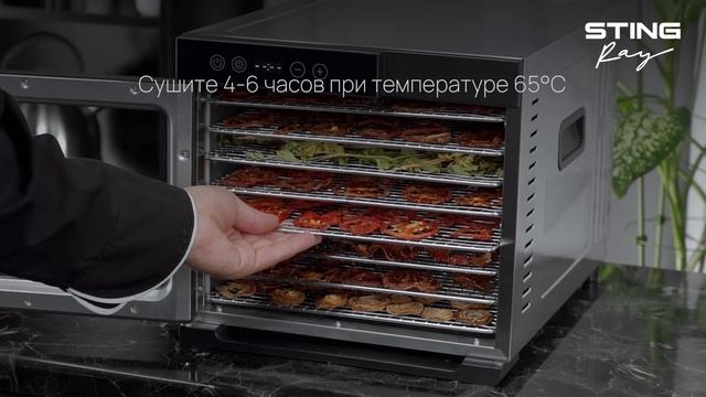 Приготовление закусок в электросушилке STINGRAY ST-FD711B